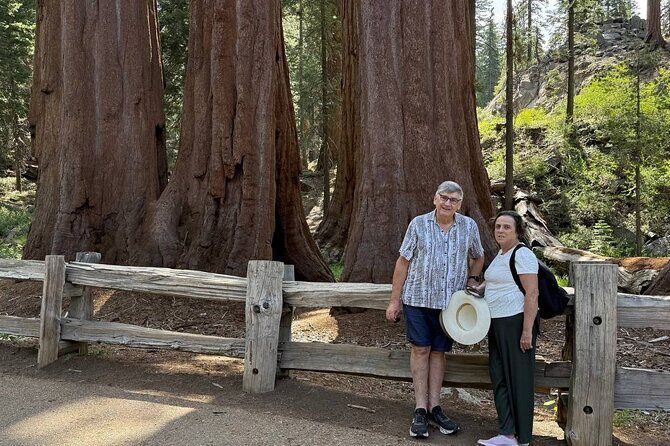 Private 1-Day Sequoia and Kings Canyon Park Tour from Los Angeles - Detailed breakdown of the itinerary