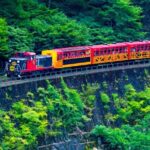 Private 10-hour chartered car service for Kyoto and Nara in Japan - The Sum Up