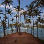 Private 14 Day All Inclusive Sri Lanka Island Tour from Airport - Final Thoughts