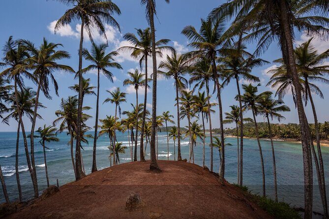 Private 14 Day All Inclusive Sri Lanka Island Tour from Airport - Final Thoughts