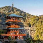 Private 2-Day Tour (16): Wakayama Coast & Kumano Kodo - What to Expect on Day One