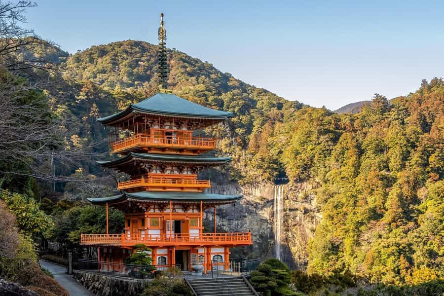 Private 2-Day Tour (16): Wakayama Coast & Kumano Kodo - What to Expect on Day One