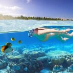 Private 2-Hour Tour in Nassau - Analyzing Value