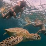 Private 3 Gili Trip - Who Should Book?