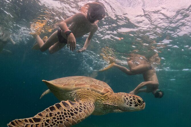 Private 3 Gili Trip - Who Should Book?