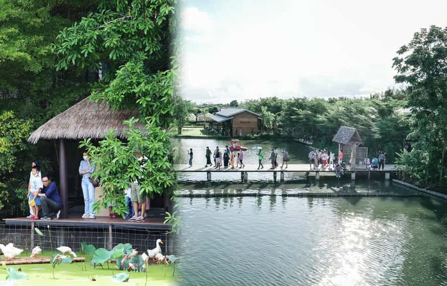 Private 3 IG Cafe + Don Wai Floating Market: from Bangkok - In-Depth Look at the Itinerary