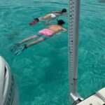 Private 4 Hour Snorkel and Sandbar Charter in Islamorada - Practical Details and Tips