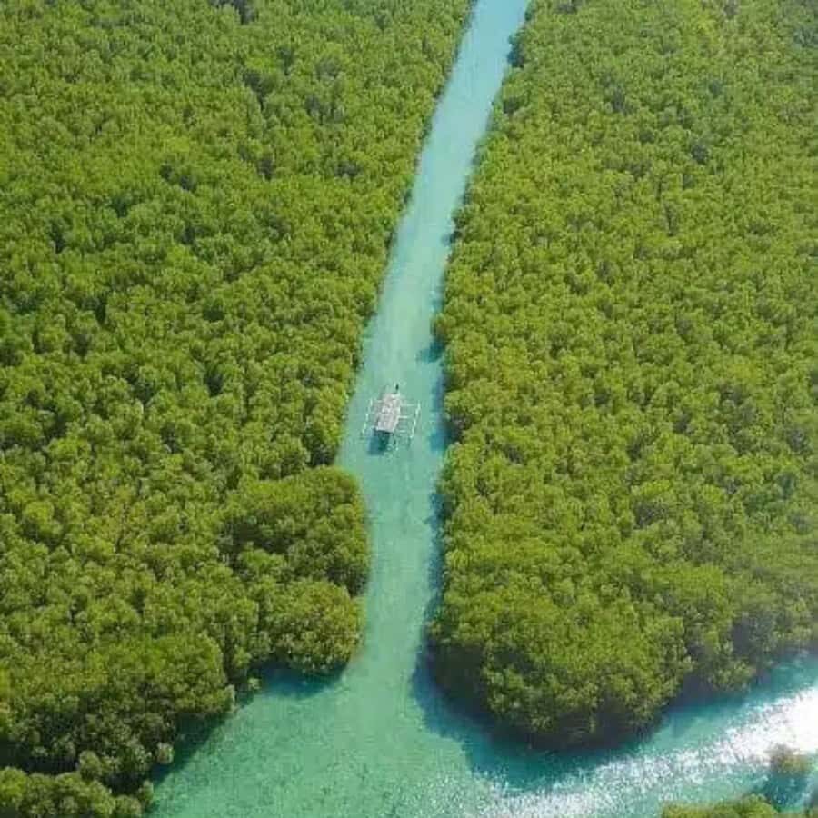 Private 4-Island Tour: Gili Kondo, Petagan, Bidara by Boat - What Makes This Tour Stand Out?