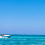 Private Activity Speedboat Ride and Snorkeling in Punta Cana - Final Thoughts: Who Should Consider This Tour?
