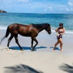 Private Advanced Horseback Beach Ride with Sandy Hoofs St. Lucia - The Route and Scenic Highlights