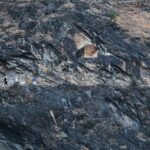 Private Adventure: A Day Hike Through Tiger Leaping Gorge - Who Should Consider This Tour?