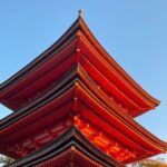 Private Airport Transfer & Adventure within Kyoto Nara Osaka Kobe - Why This Tour Works for You