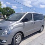 Private Airport Transfer Punta Cana to Your Hotel Safe - Why Choose This Transfer?