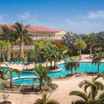 Private Airport Transfers to St. Kitts Marriott and Frigate Bay. - The Experience in Numbers