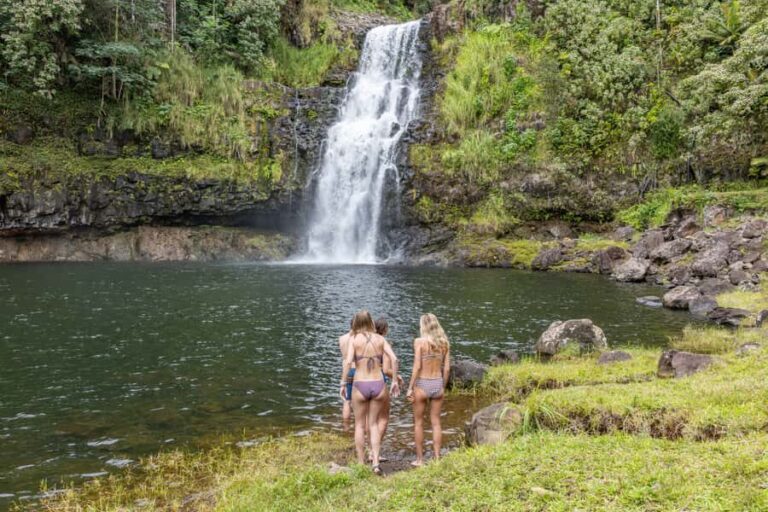Private: All Inclusive Big Island Waterfalls Tour - Big Island’s Waterfalls and Scenic Stops