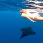 Private All Inclusive Nusa Penida Snorkeling and Tour - Why This Tour Offers Great Value