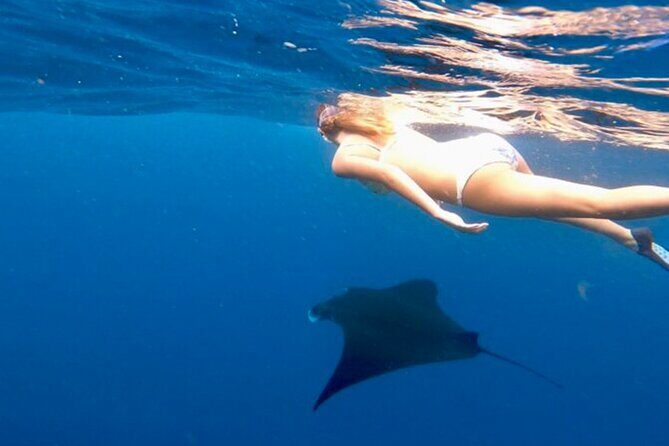 Private All Inclusive Nusa Penida Snorkeling and Tour - Why This Tour Offers Great Value