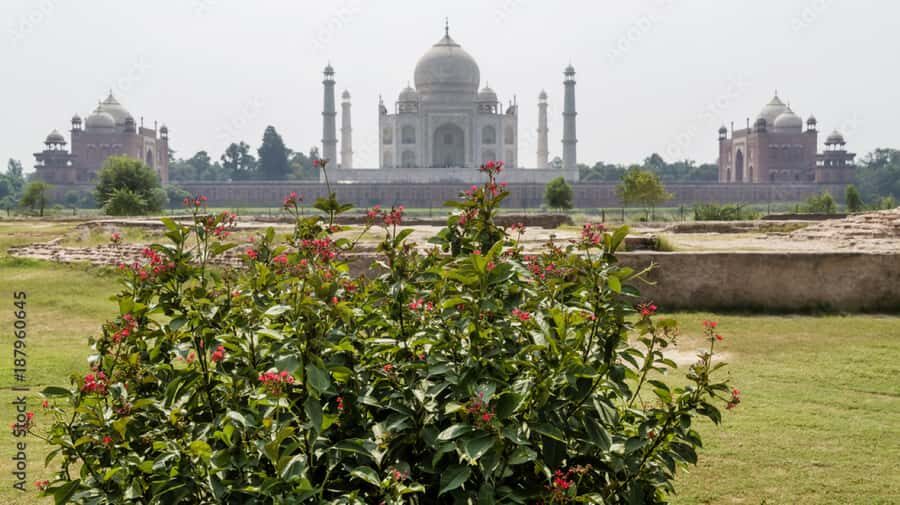Private All-Inclusive Taj Mahal, Agra City Sightseeing Tour - Is It Worth the Cost?