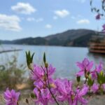 Private and Multi-day Tokyo, Mt. Fuji & Lake Kawaguchi Adventures - Transportation and Comfort