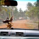 Private Angkor Wat Tour from Siem Reap - The Practical Details