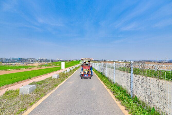 [Private] Anseong Farmland Flower Festival & Golden Buddha Temple - Why This Tour Is Worth Considering