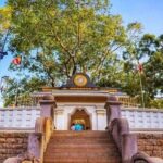 Private Anuradhapura & Wilpattu Safari Day Tour From Dambulla - Who Should Consider This Tour?