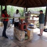 Private Appleton Estate Rum and Pelican Bar Tour from Montego Bay - Detailed Breakdown of the Itinerary