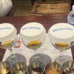 Private Appleton Estate Rum Tour with Limestone Massage, Rafting - An In-Depth Look at the Tour Experience