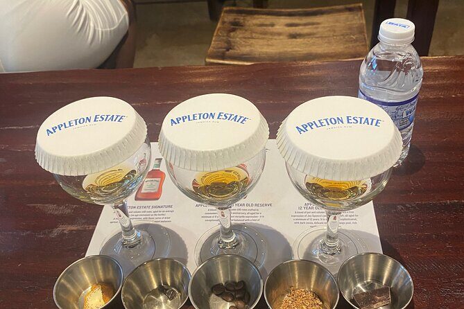 Private Appleton Estate Rum Tour with Limestone Massage, Rafting - An In-Depth Look at the Tour Experience