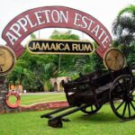 Private Appleton YS Falls and Black River Tour from Montego Bay - Authentic Experiences and Traveler Feedback