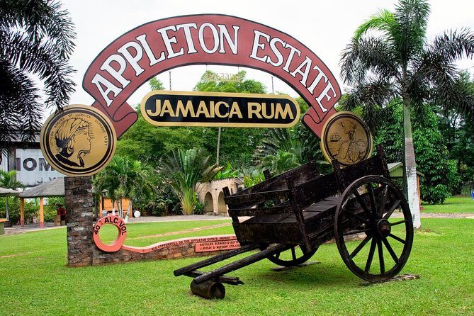 Private Appleton YS Falls and Black River Tour from Montego Bay - Authentic Experiences and Traveler Feedback