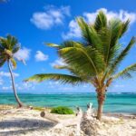 Private Arrival Transfer from Punta Cana airport (PUJ) to Punta Cana - What to Expect from Your Punta Cana Private Transfer