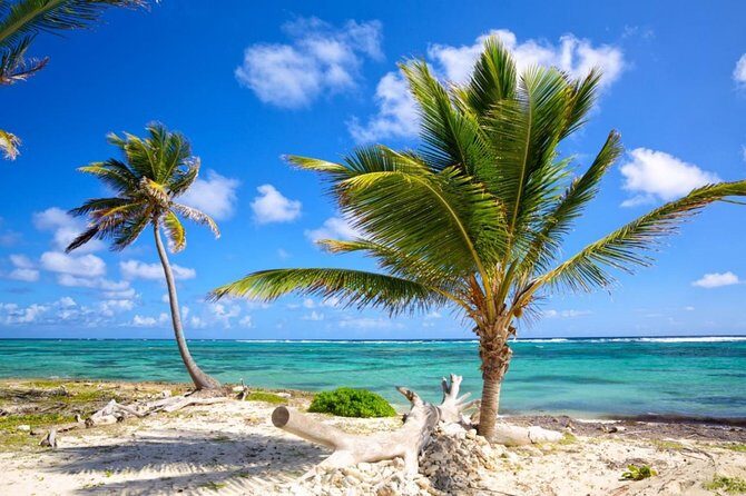 Private Arrival Transfer from Punta Cana airport (PUJ) to Punta Cana - What to Expect from Your Punta Cana Private Transfer