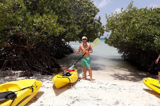 Private Aruba Kayak & Snorkeling Tour + Transortation - Authentic Experiences and Traveler Feedback
