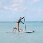 Private Aruba Stand Up Paddleboard Experience - The Value of This Paddleboard Experience