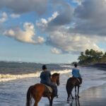 Private Bali Horse ride - Possible Drawbacks or Considerations
