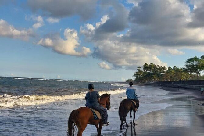 Private Bali Horse ride - Possible Drawbacks or Considerations