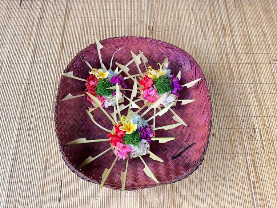 Private Balinese Culture Experience: Canang Making & Temple - Exploring the Heart of Bali: Rice Fields and Local Homes