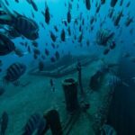 Private Bayahibe 3 Tank Diving with Lunch from Punta Cana - What Travelers Are Saying