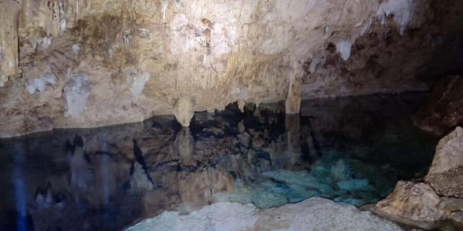 Private: Bayahibe: Jungle Walk and Cenote Snorkeling Tour - Why This Tour Stands Out