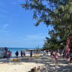 Private Beach Day Snorkeling and Swimming with Pig in Rose Island - Why This Tour Is a Great Value