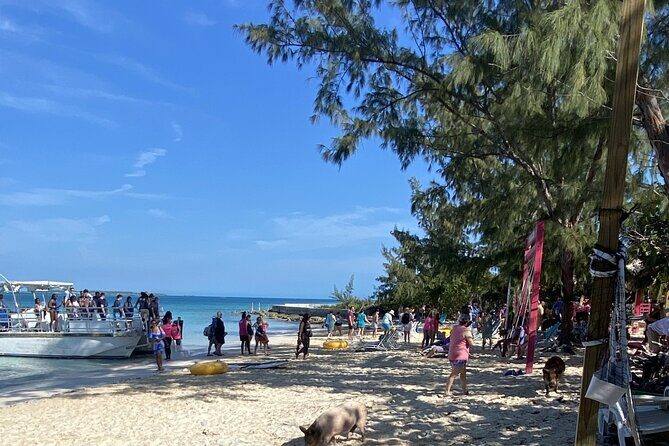 Private Beach Day Snorkeling and Swimming with Pig in Rose Island - Why This Tour Is a Great Value