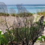 Private Beach Hike Sunrise Serenity - Value and Practicalities