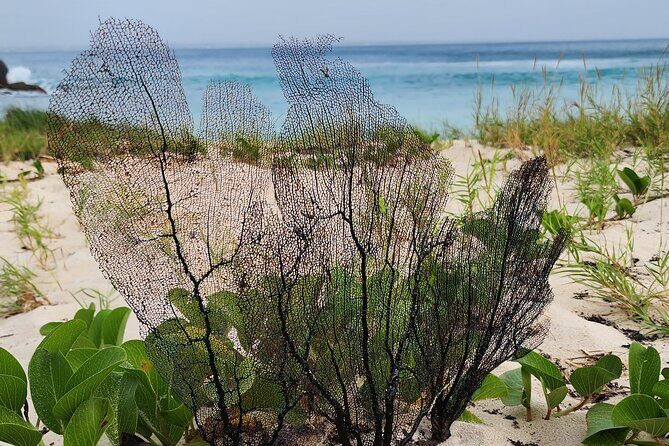 Private Beach Hike Sunrise Serenity - Value and Practicalities