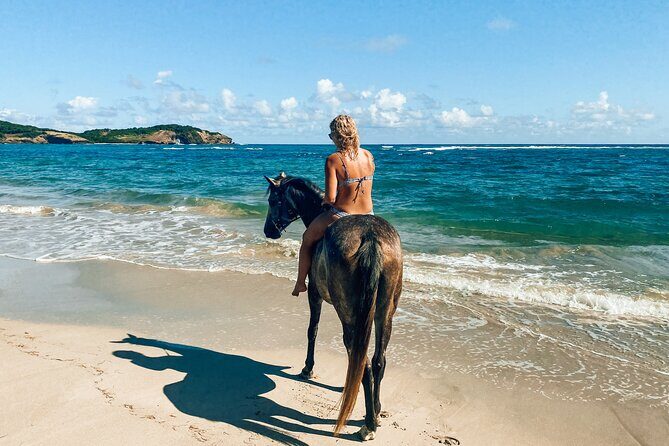 Private Beach Picnic Horseback Ride with Sandy Hoofs St. Lucia - The Scenic Stops and Photo Opportunities