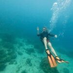 Private: Beginner Scuba Dive in Bávaro: 30-Minute Reef Dive - The Itinerary Breakdown