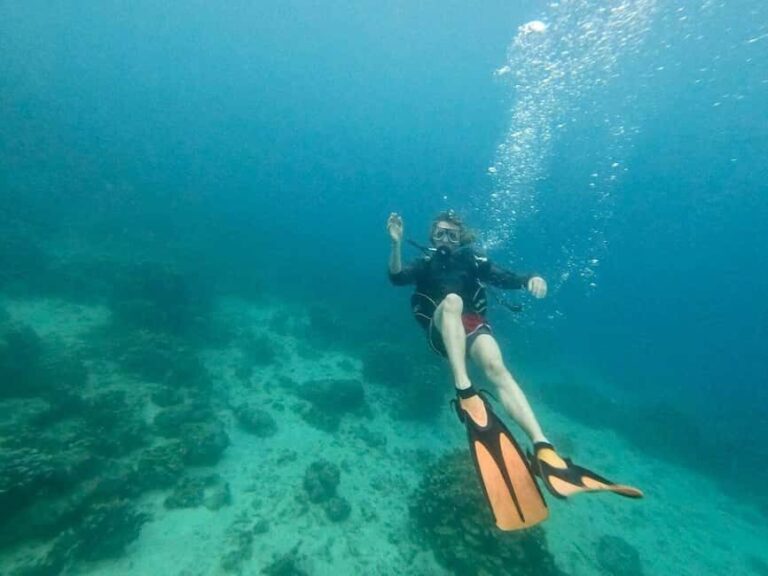 Private: Beginner Scuba Dive in Bávaro: 30-Minute Reef Dive - The Itinerary Breakdown