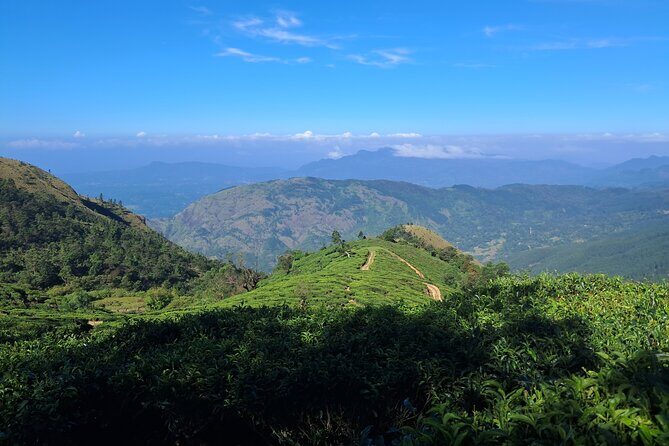 Private Belihuloya Hike: Baker's Dark Hunting Trail - Analyzing the Value