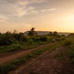 Private Bike Tour the Siem Reap Countryside with Local Expert - Who Should Consider This Tour?