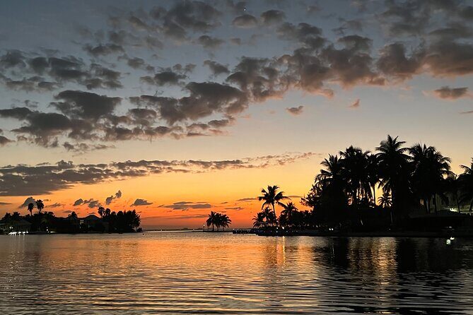 Private: Bioluminescence Tour - Why This Tour Stands Out